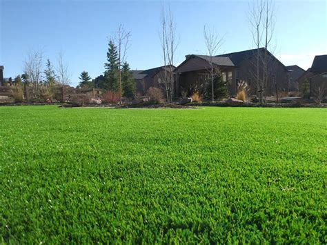 Artificial Grass Wholesale In Usa Your One Stop Shop For Artificial