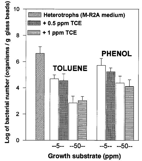 Effects Of Toluene And Phenol Concentration On The Total Number Of Download Scientific Diagram