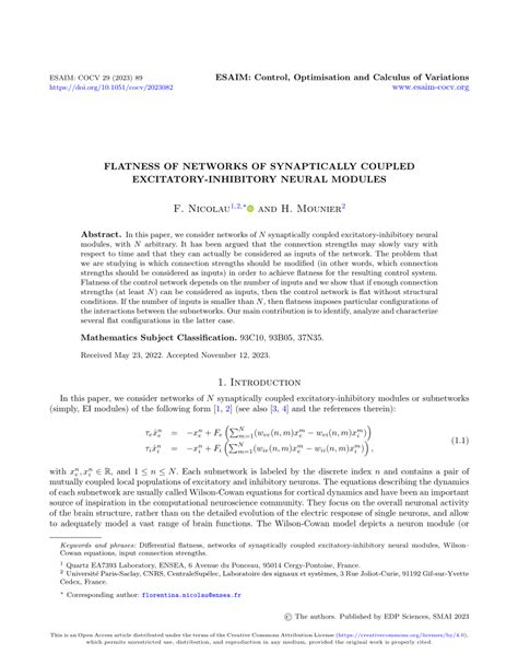 Pdf Flatness Of Networks Of Synaptically Coupled Excitatory