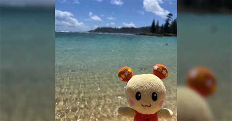 「オーストラリアでブルーベリー収穫すれば月収50万円」海外出稼ぎに憧れる人たちと実際に出稼ぎした経験談 Togetter [トゥギャッター]
