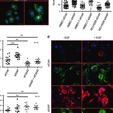 Growth And Protein Import Phenotypes Of Analogous Pd Mutations In Yeast Download Scientific