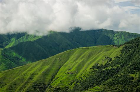 Ali Bedni Bugyal Trek Package Itinerary And Cost