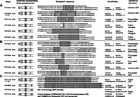 Segmental Duplication Breakpoints A Microsatellites Junctions B