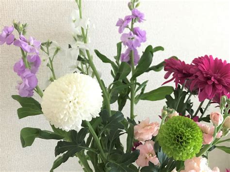 Tsutachi Co