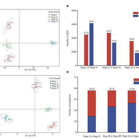 Transcriptomic And Metabolic Analyses Reveal A Dynamic Transition