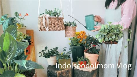 좁은 베란다 미니정원 꾸미기 아파트 발코니 인테리어 수경 식물 키우기 행잉 플랜드 만들기 Balcony Garden