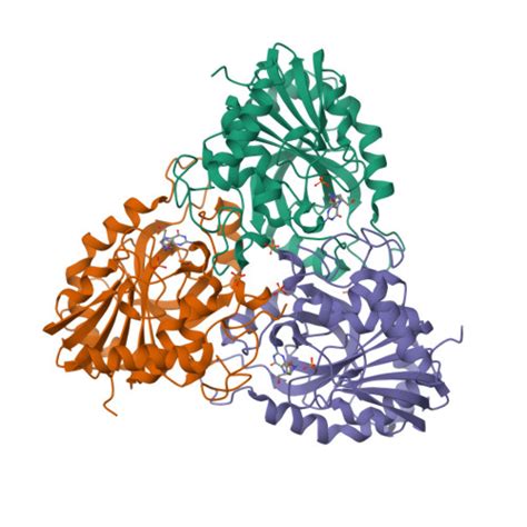 RCSB PDB 3PHB Crystal Structure Of Human Purine Nucleoside