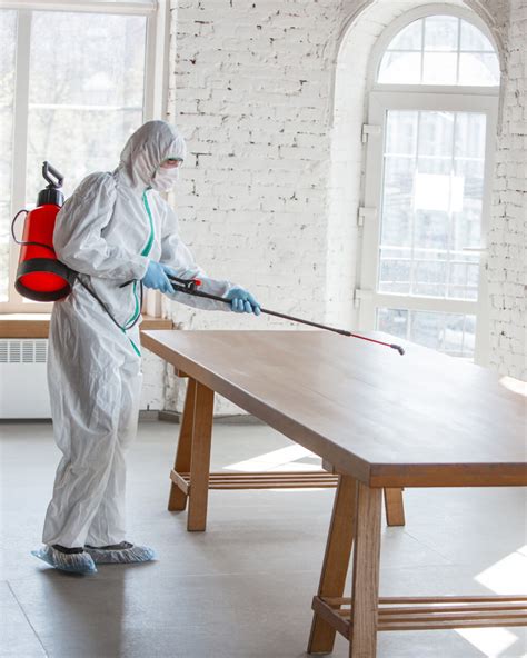 About Termite Choices Termite Solutions Brisbane And Seq