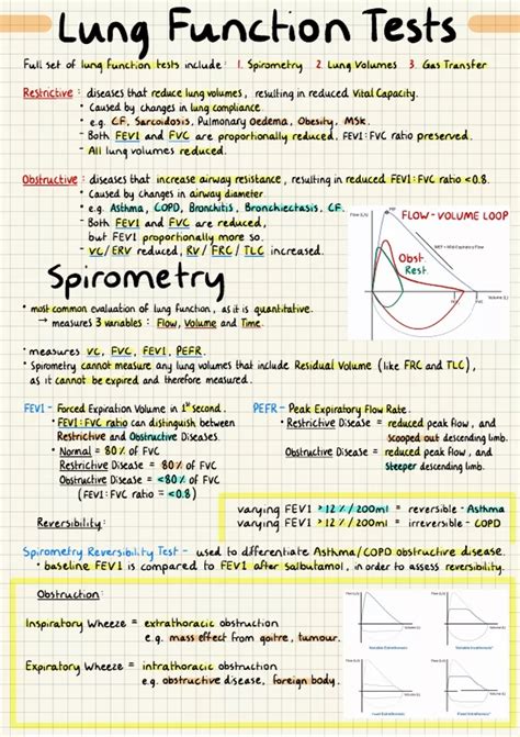 Lung Function Tests Spirometry Summary Notes Respiratory Science Mbchb Stuvia Uk