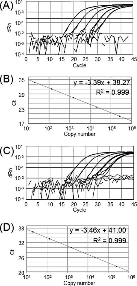 Amplification Curves Of Dilution Series Of Ply038 Plasmid And Download Scientific Diagram
