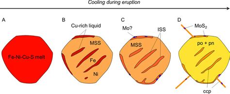 Synchrotron Based X Ray Tomographic Microscopy Sxrtm Images Through Download Scientific