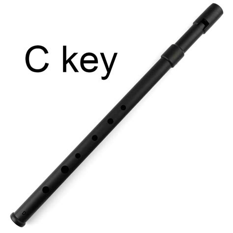 Zwart Abs Plastic Fluit C D Sleutel Tinwhistle Ier Vicedeal