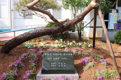 순천향대 구미병원 개원 44주년 기념식수·표지석 네이트 뉴스