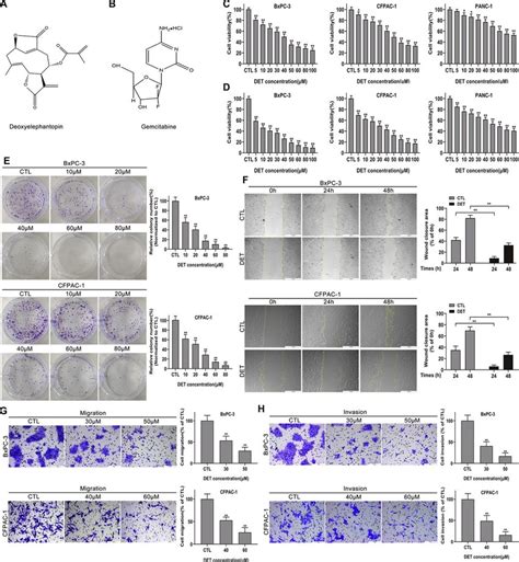 Det Suppressed The Proliferation Migration And Invasion Of Pancreatic