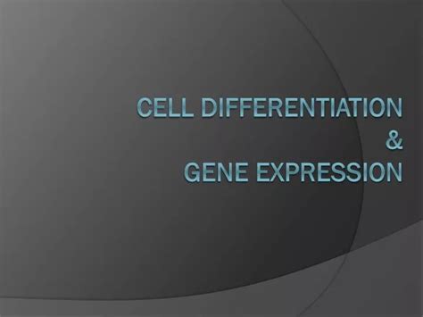 Ppt Cell Differentiation And Gene Expression Powerpoint Presentation
