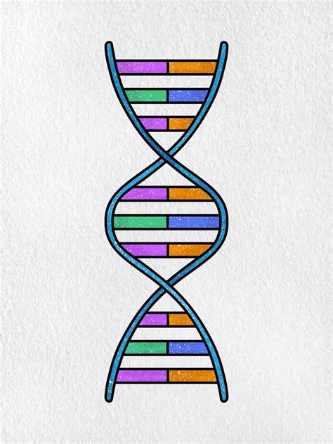 How To Draw Dna Helloartsy