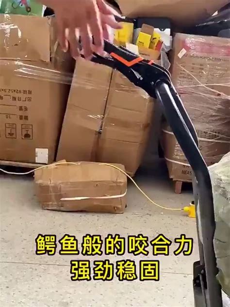【fast Delivery】locking Pliersvice Grip Tools Original Biscript Tool