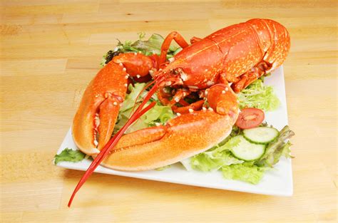 虾肉蔬菜沙拉美食食物图片下载 觅知网