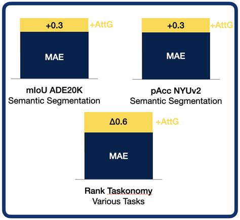 Attention Guided Masked Autoencoders For Learning Image Representations
