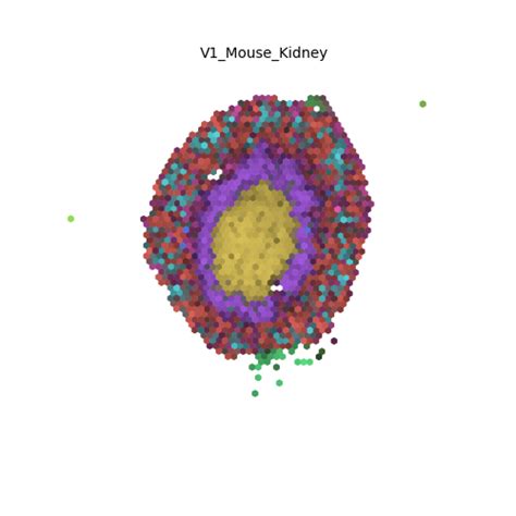Github Rockdemechrysalis Powerful And Lightweight Package To Identify Tissue Compartments In