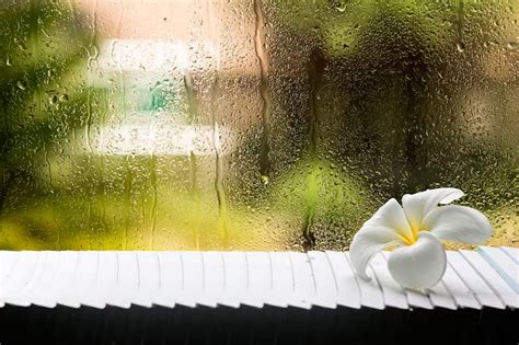 Say Goodbye To Foggy Windows How Window Medics Eliminate Condensation