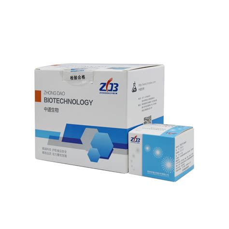 African Swine Fever Virus Detection Kitshandong Fengtu Iot Technology Co Ltd