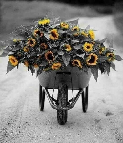 Shakeel Ahmad Posted On Linkedin