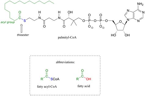 11 Nucleophilic Acyl Substitution Reactions — Organic Chemistry With A