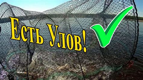 РЫБАЛКА НА МОРДУШКУ ВЕРШ! Отличный улов! Много щуки и карася - YouTube