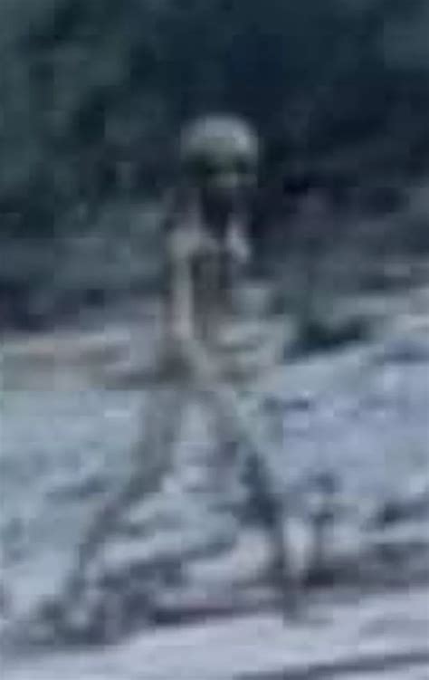 See Through Four Foot Alien Spotted Walking Down River Near Inter