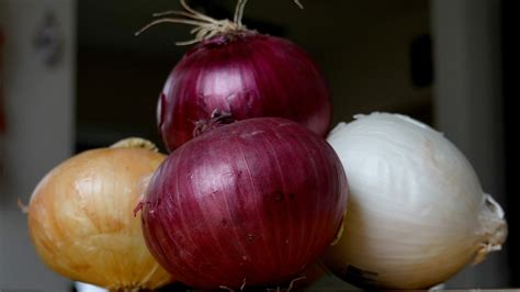 The Most Popular Types Of Onions Explained
