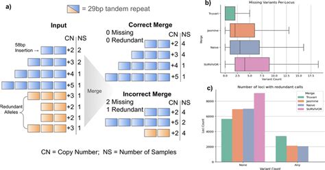 Investigation Of Tandem Repeats To Assess Merging Strategies