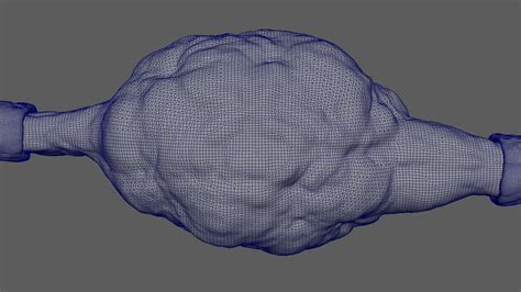 Neuron Bipolar Model TurboSquid