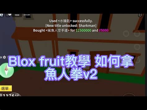 Blox fruit教學如何拿二海最強拳頭 魚人拳v2 YouTube