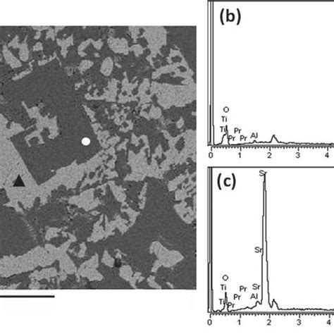 A Sem Image Of A Cross Section Of The Srtio 3 Tio 2 Eutectic