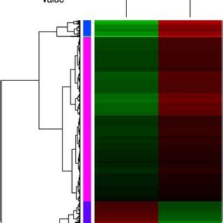 Heatmap Of Differential Expression Genes Between Wild Type And Osam1