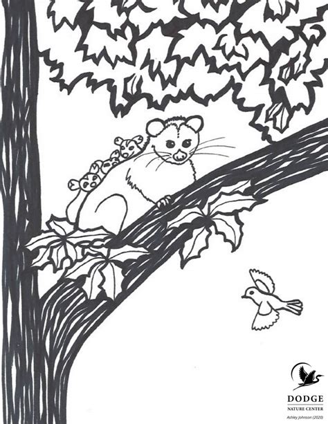 Printable Flicka Coloring Pages [2025]
