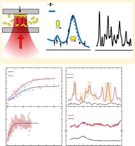 20 Schematic Representation Temporal Evolution Of Aggregation Of