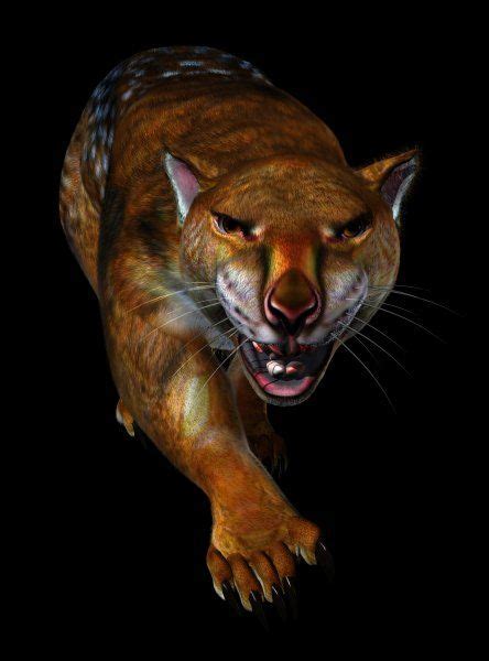 Thylacoleo ähnelte äußerlich Einer Raubkatze Und Besetzte Eine