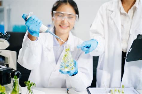 Food Science As Lab Scientists Test And Analyze Vegetables For Safety