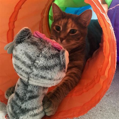 Shes Obsessed With Her Mini Me