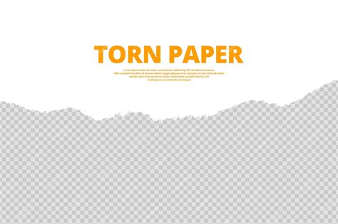 찢어진 컷 효과 빈 텍스트 공간 배너 또는 포스트 디자인 벡터 일러스트와 함께 투명 배경 흰색 찢어진 종이 디자인 프리미엄 벡터