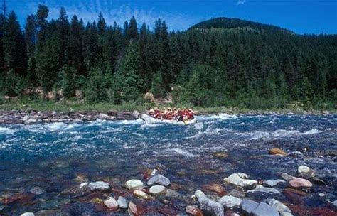 White Water Rafting Trips Whitewater Rafting Guides Wild River