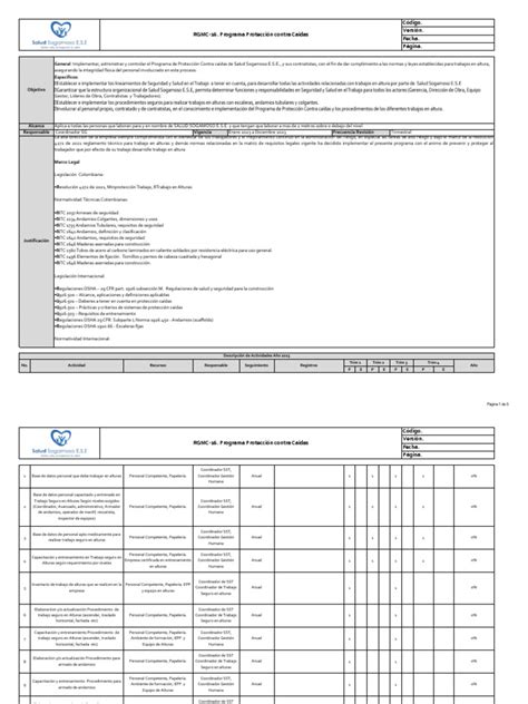 Rgmc 16 Programa Protección Contra Caidas E S E Pdf Administración De Seguridad Y Salud