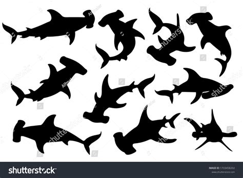 Hammerhead Shark Vector Shark Art Shark Drawing Shark Illustration