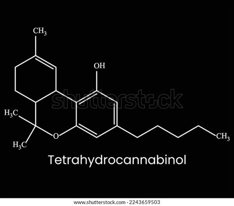 Thc Structure 2d Component Cannabis Which Stock Vector Royalty Free 2243659503 Shutterstock