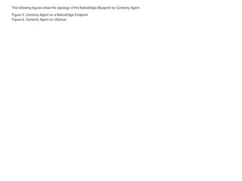 Topology Of The Nativeedge Blueprint For Centerity Agent Dell Nativeedge With Centerity