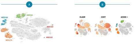 Multiplex Dcode Dextramer®profiling Of Antigen Specific T Cells Immudex