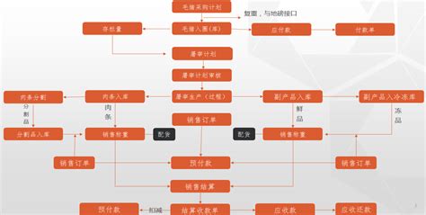 解决方案 屠宰生产经营主要业务流程设计 山东华业信息技术有限公司