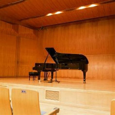 Eusebius Seo Youtube